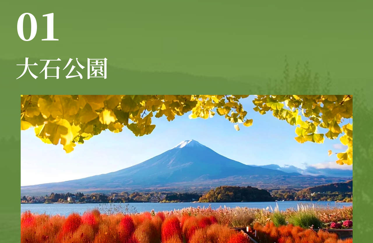 [Must-Do for Families] Fuji Safari Park × Oshino Hakkai × Oishi Park ...